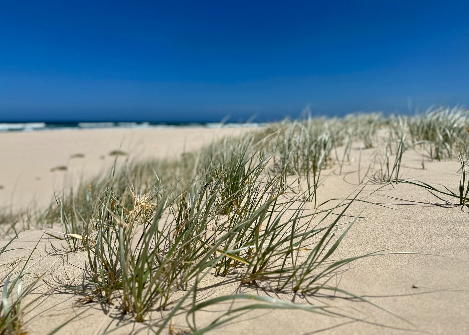 Climate action projects | Climate Action Hub | Have Your Say