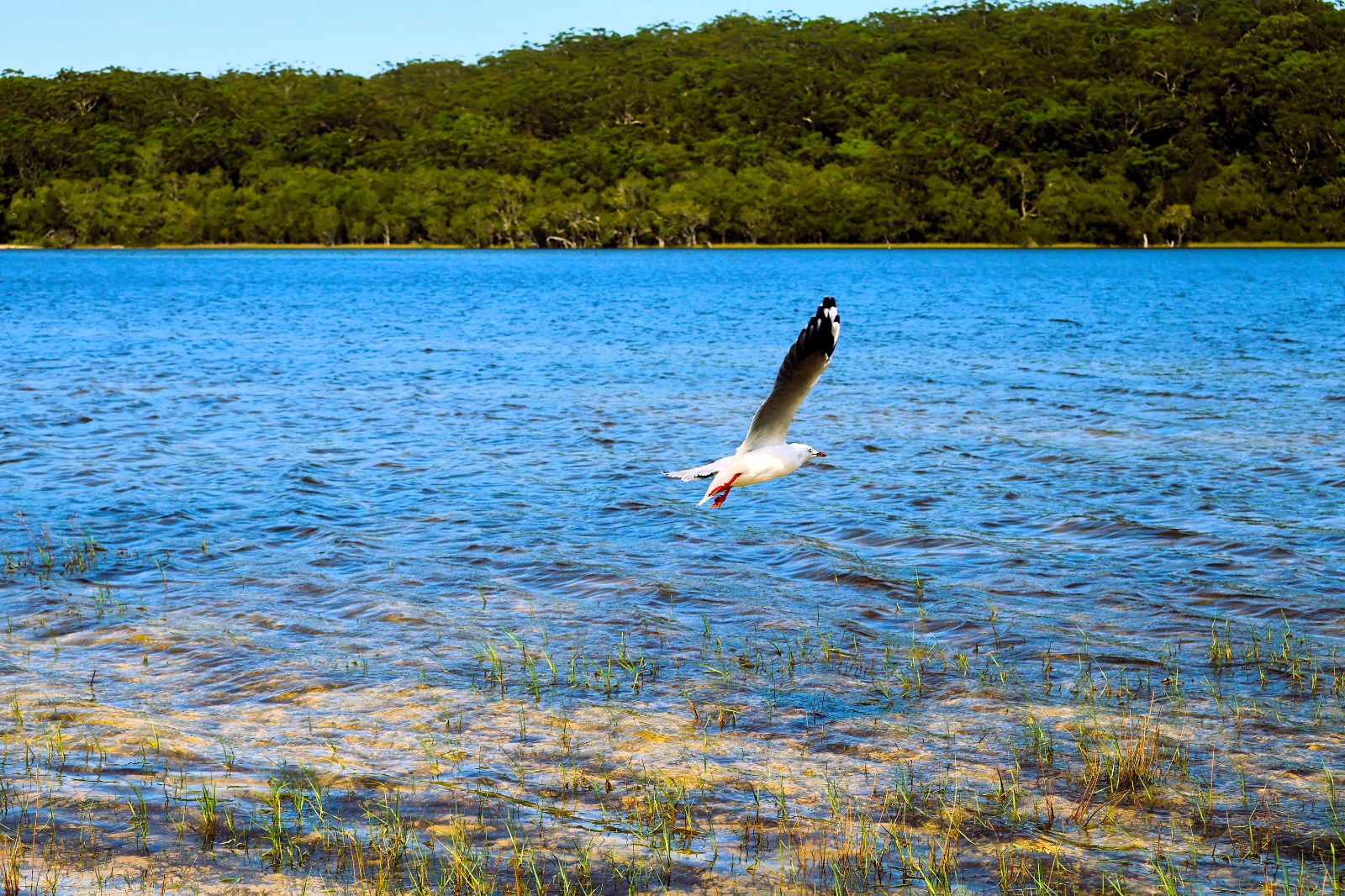 Snap our Southern Estuaries | Southern Estuaries Coastal Management ...
